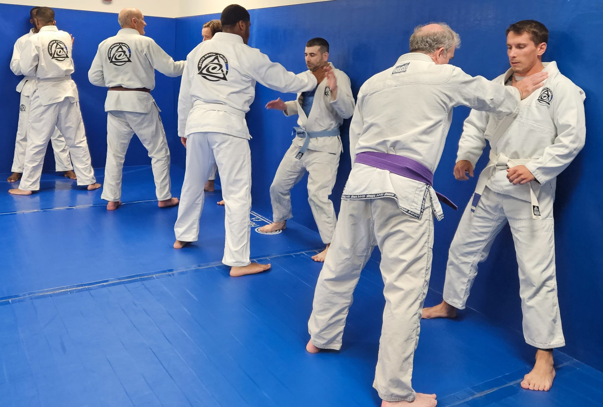 Royce Gracie Jiu Jitsu Programs - Adults and Kids