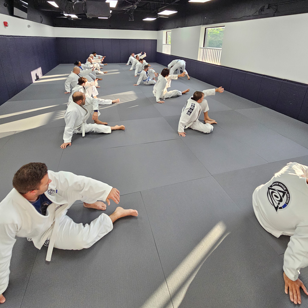 Royce Gracie Jiu Jitsu Programs - Adults and Kids